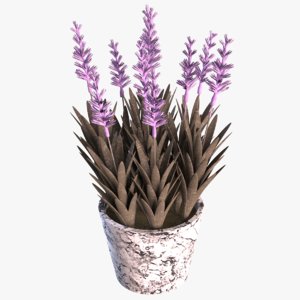 3D Lavender Models | TurboSquid