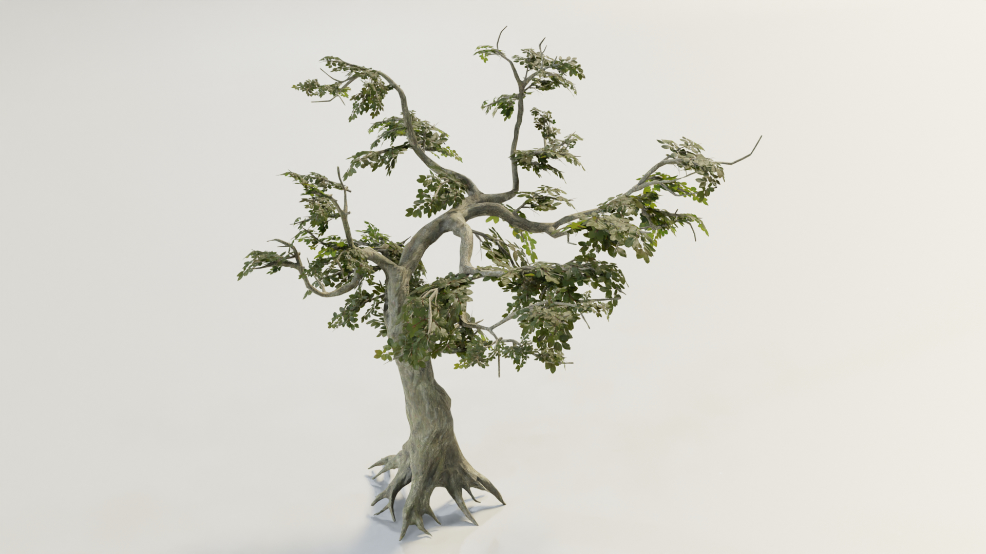 3D tree twisted model - TurboSquid 1609245