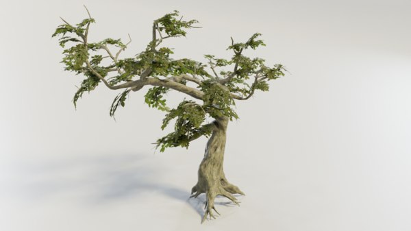 3D tree twisted model - TurboSquid 1609245