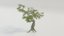 3D tree twisted model - TurboSquid 1609245