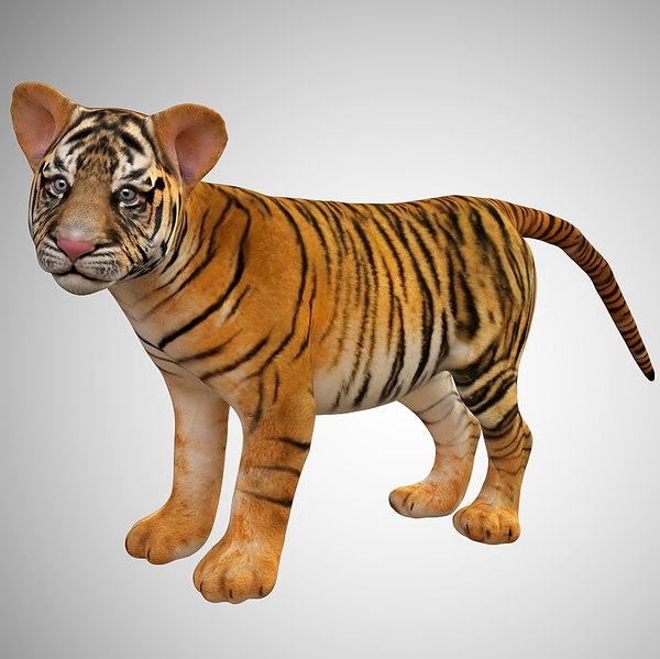 Tiger 3D Models for Download | TurboSquid