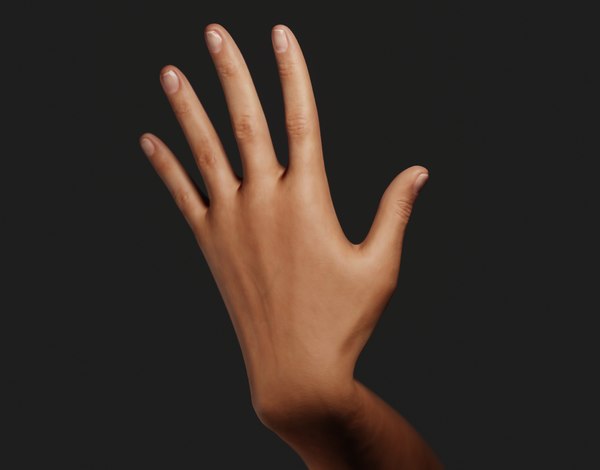 Free Blender Hand Models | TurboSquid