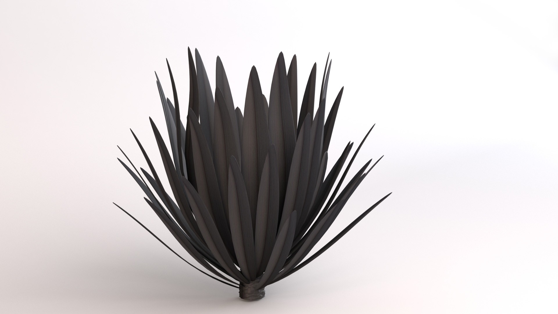 3D flax platt black model - TurboSquid 1610428