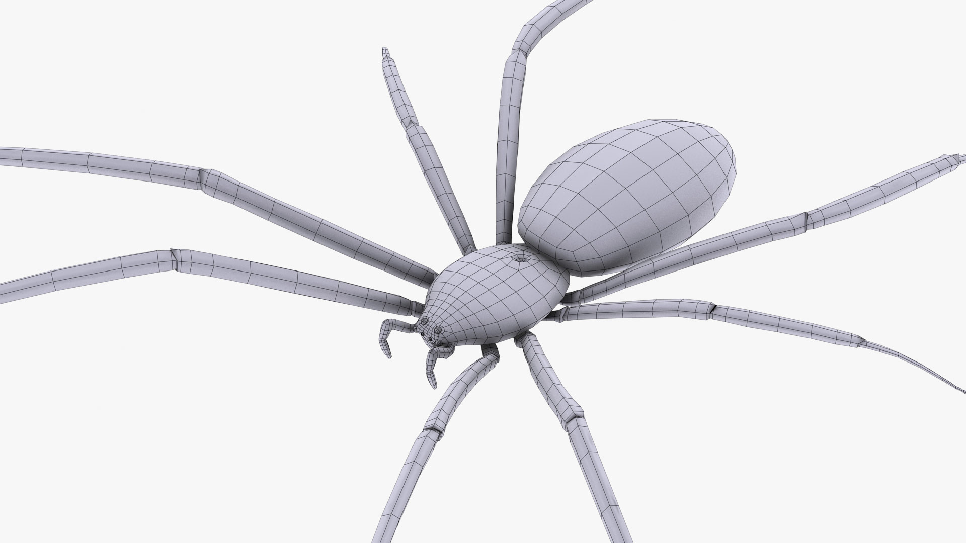 Spider 3D model - TurboSquid 1610513