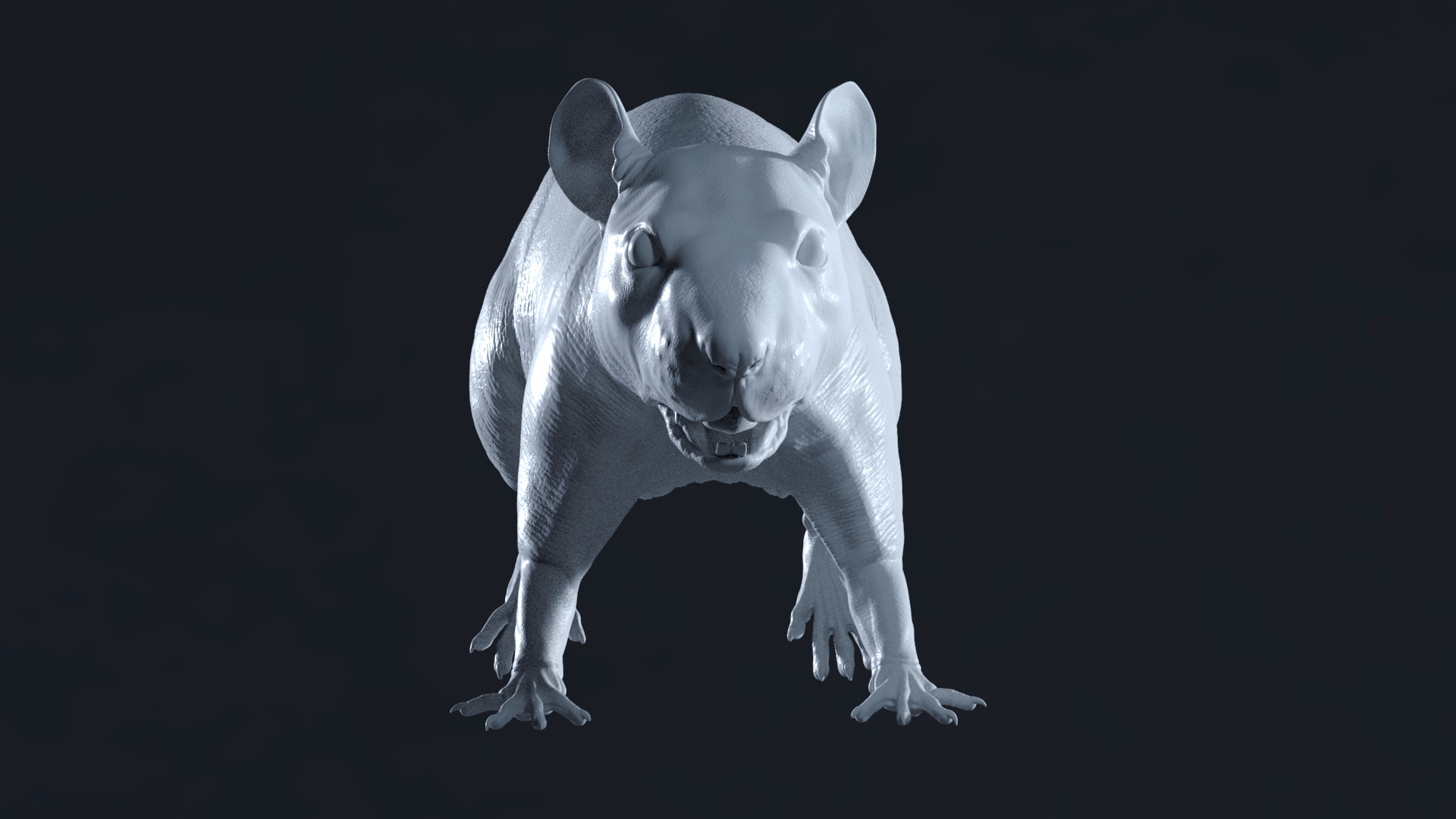 Rat Sculpt Modelo 3D - TurboSquid 1610783