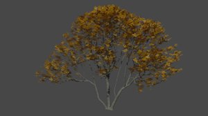 Free Blender Leaf Models | TurboSquid