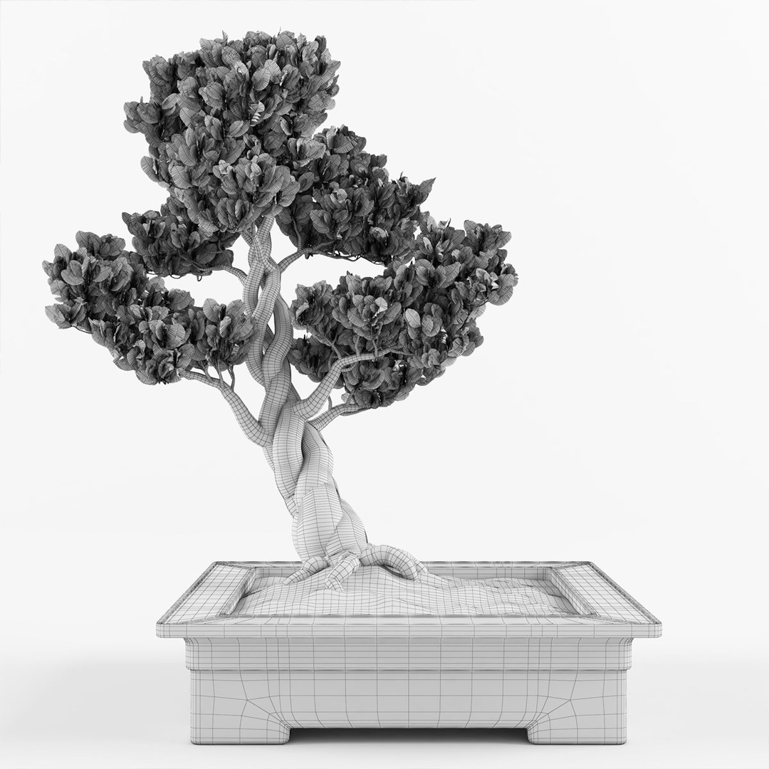 Bonsai decorative tree 3D model - TurboSquid 1614634