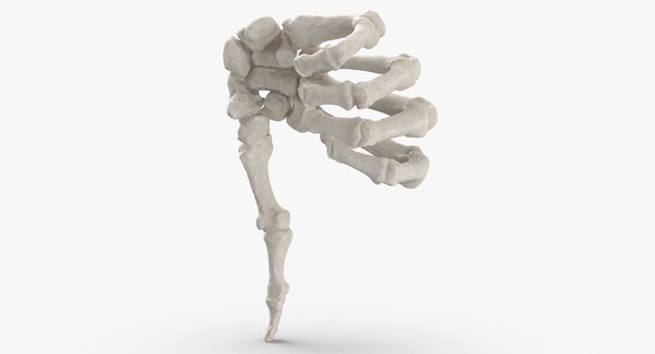 3D real human hand bones - TurboSquid 1614834