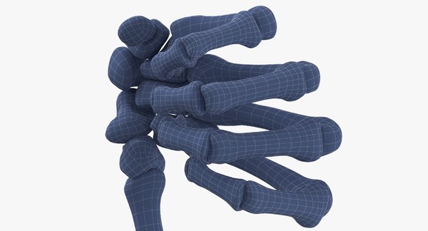 3D real human hand bones - TurboSquid 1614834