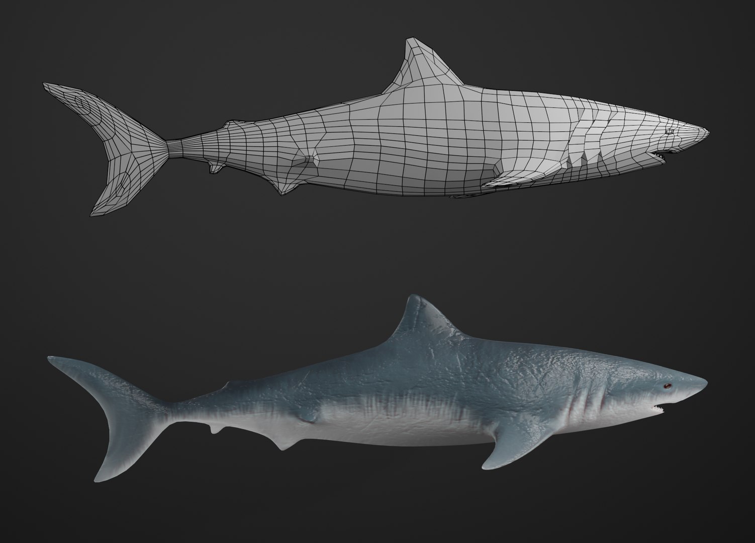 3D shark swimming animation - TurboSquid 1615066