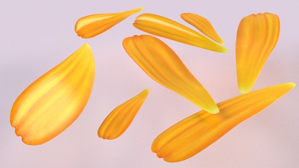 3D Petals Models | TurboSquid
