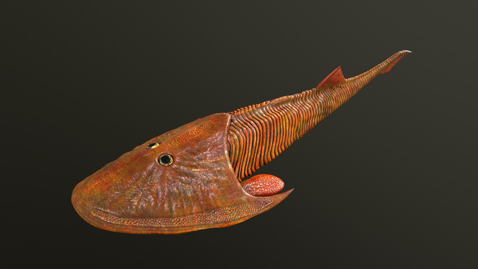 3D cephalaspis - TurboSquid 1616278
