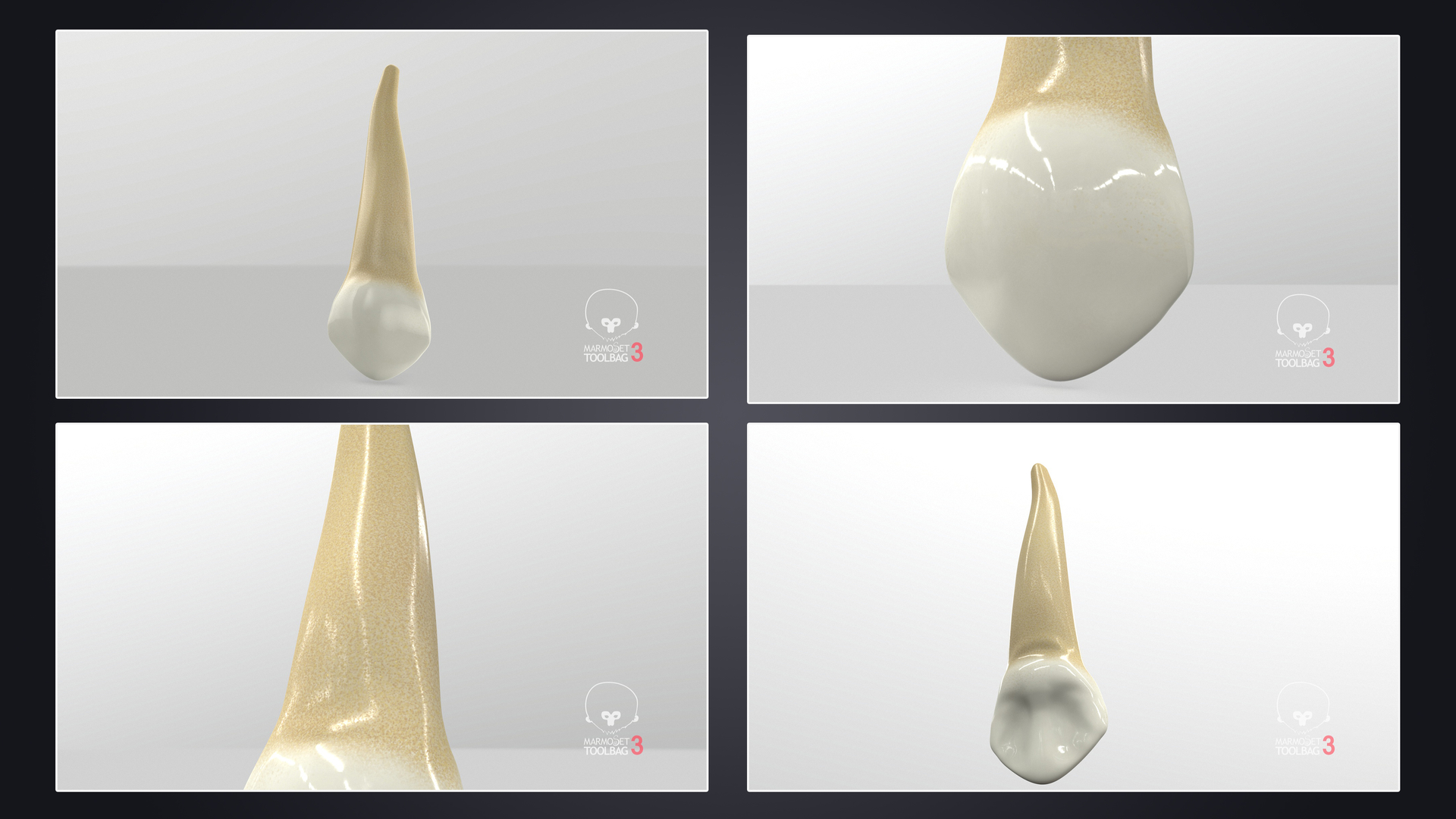 3D upper human teeth - TurboSquid 1617853