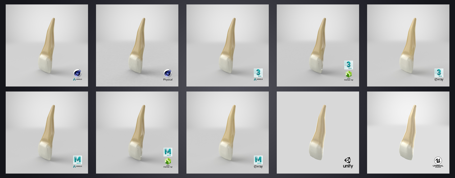 3D upper human teeth - TurboSquid 1617853