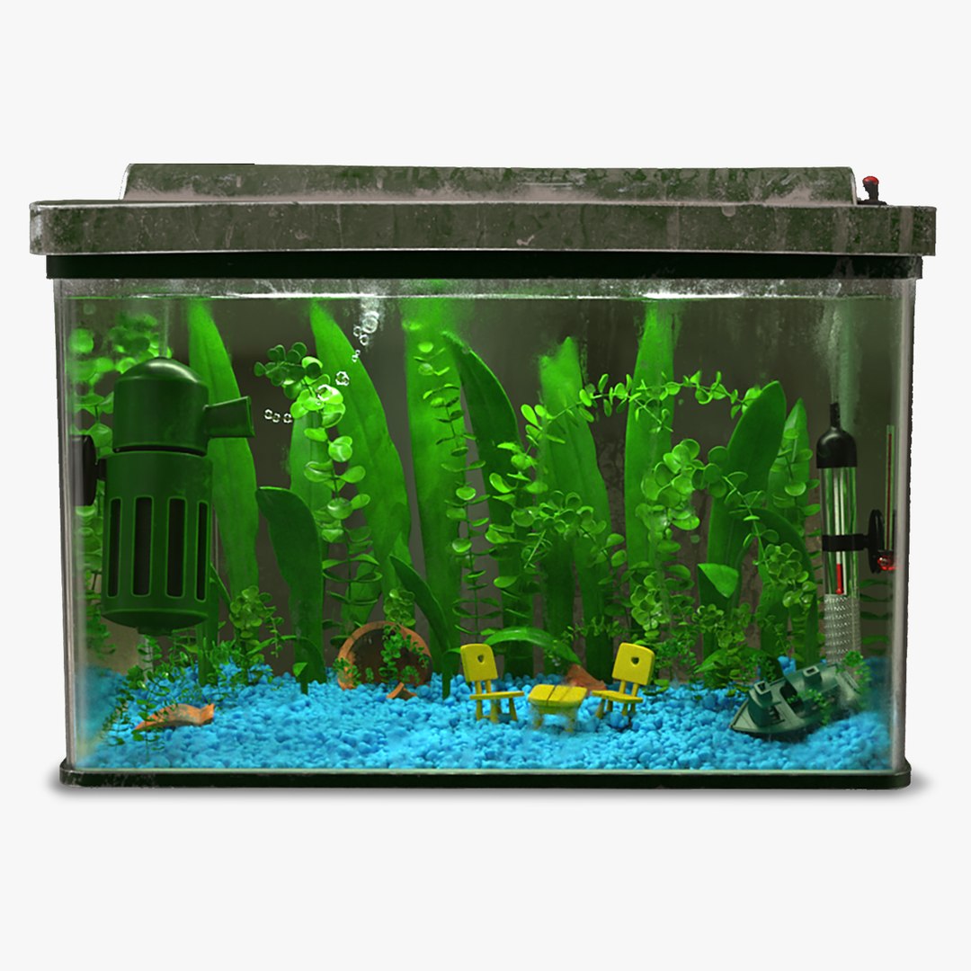 3D cartoon aquarium animation render - TurboSquid 1617284