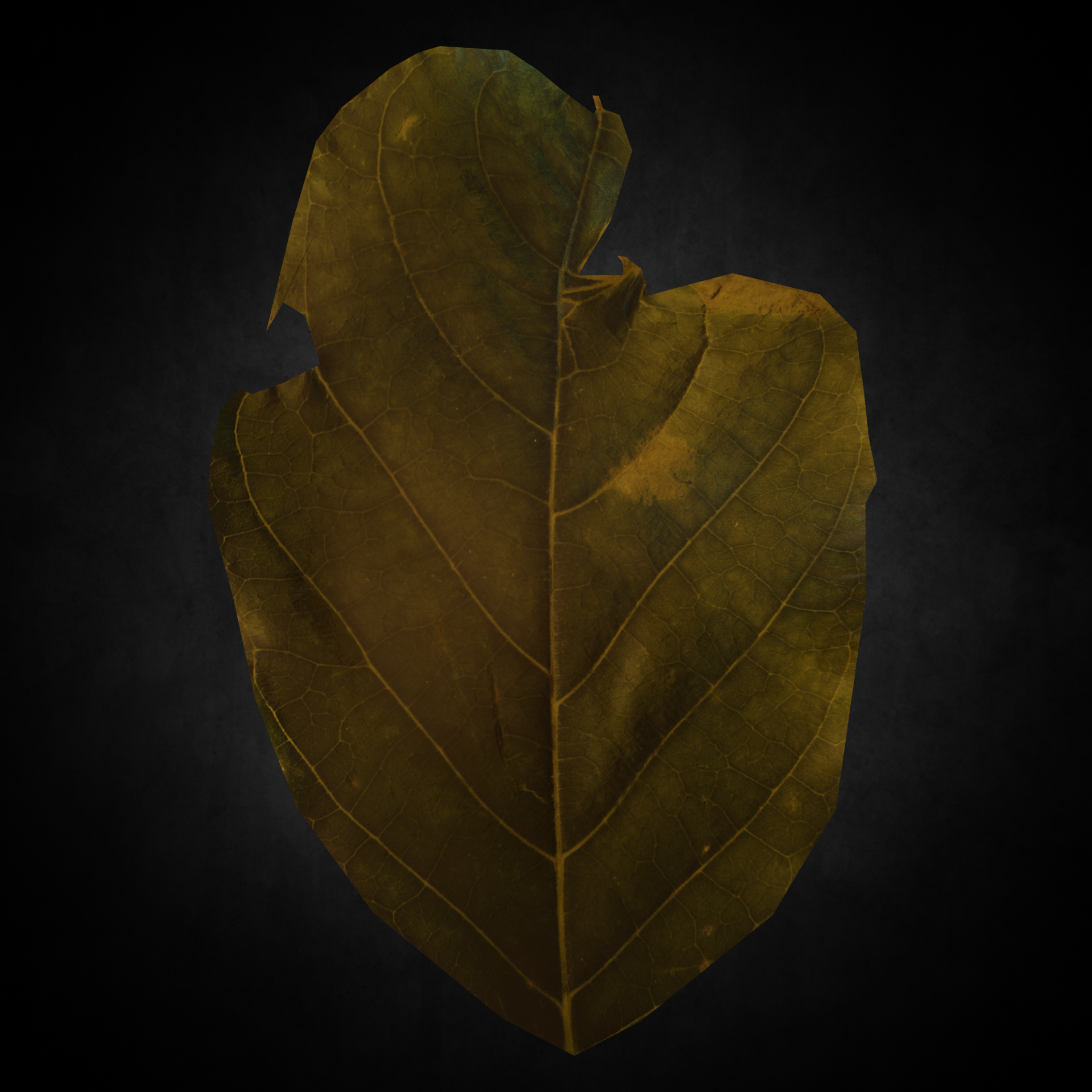 3D leaf - TurboSquid 1617366