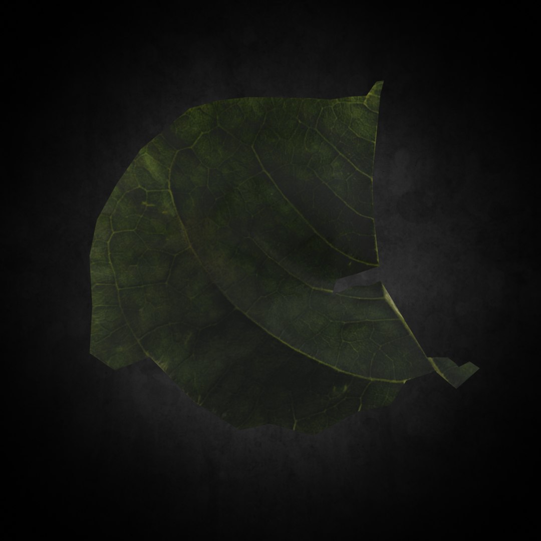 modèle 3D de Low Poly Leaf 08 - TurboSquid 1617752