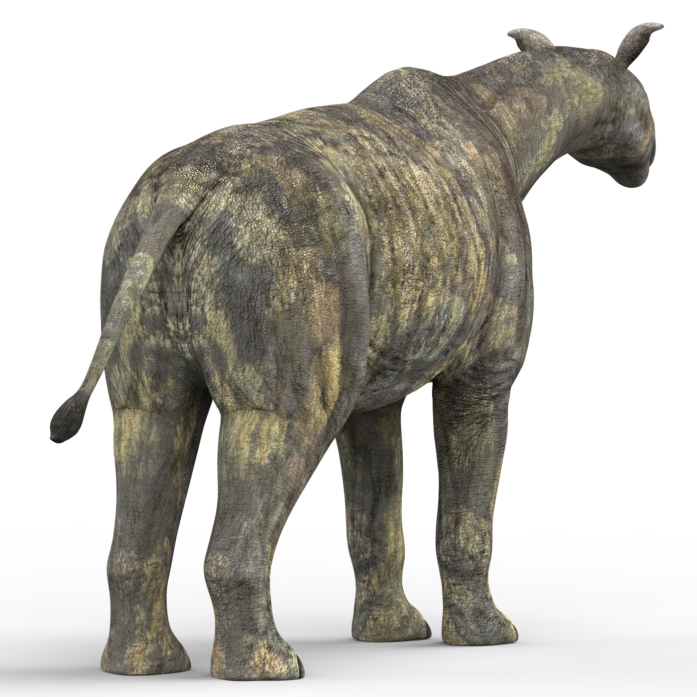 Dinossauro Paraceratério com Texturas PBR Modelo 3D - TurboSquid 1618185