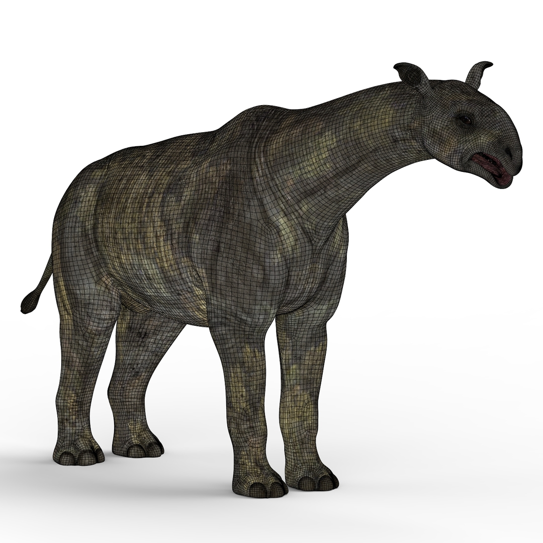 Dinossauro Paraceratério com Texturas PBR Modelo 3D - TurboSquid 1618185