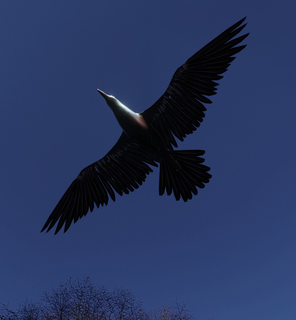 Crow flying 3D - TurboSquid 1618508