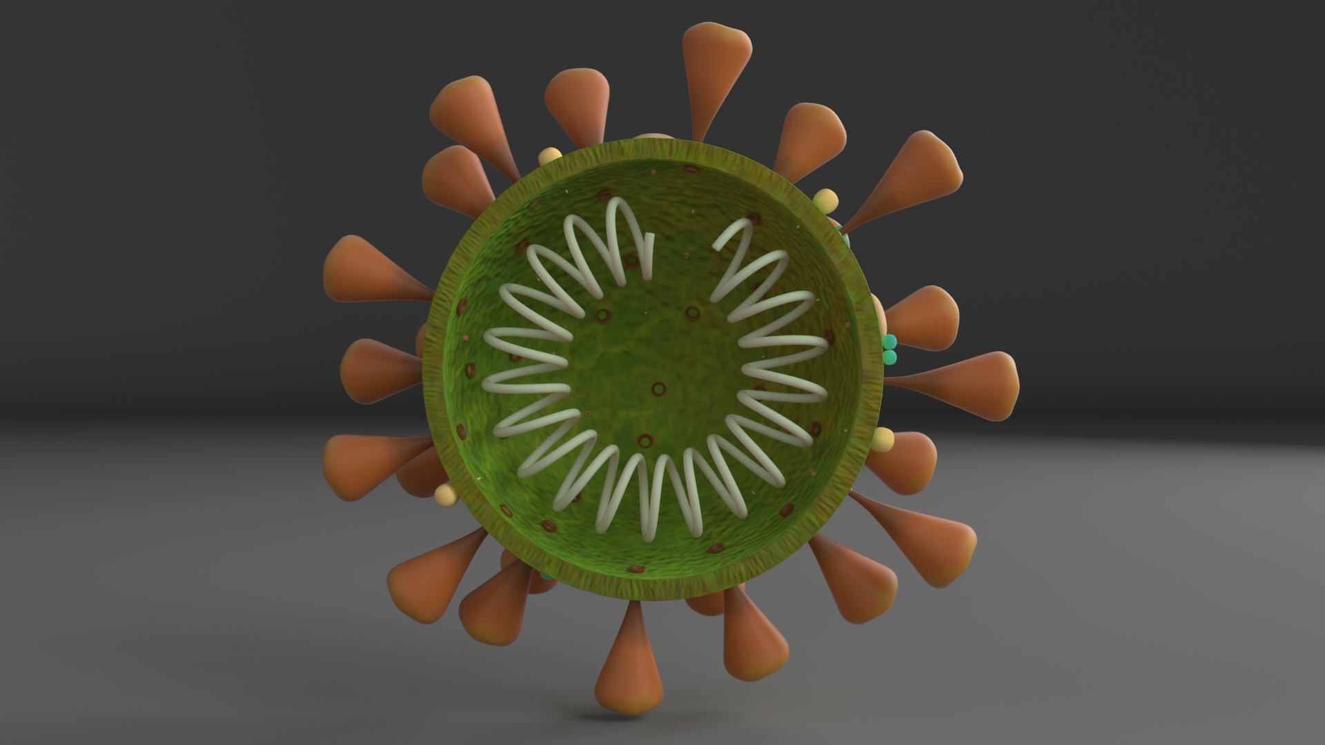 3D corona virus cross section - TurboSquid 1618773