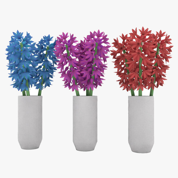 Flower hyacinth 3D model - TurboSquid 1618604