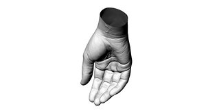 Hand STL Models for Download | TurboSquid