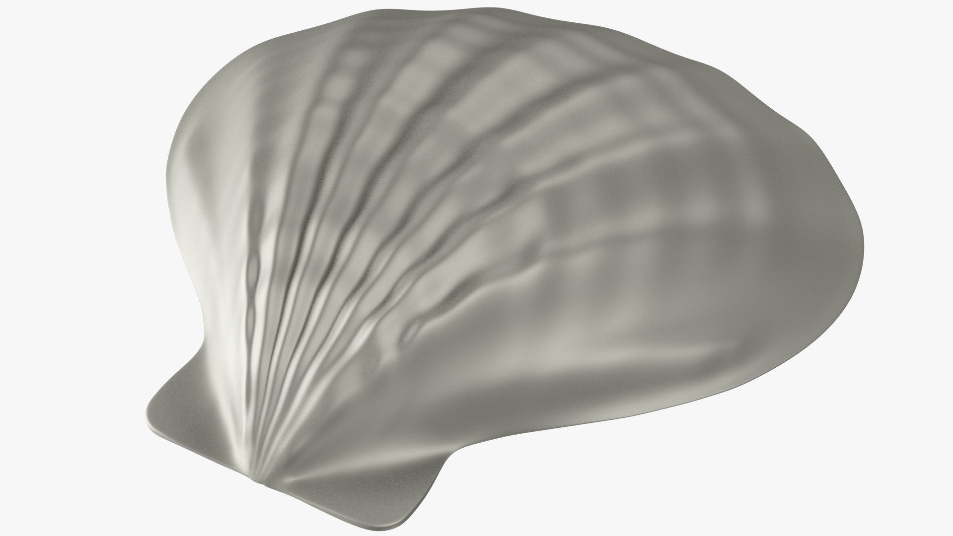 3D seashell sea shell - TurboSquid 1619385