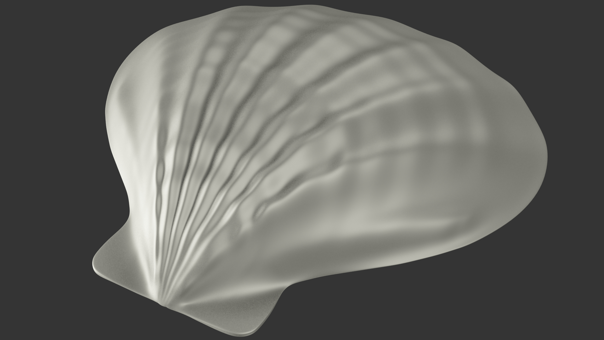 3D seashell sea shell - TurboSquid 1619385