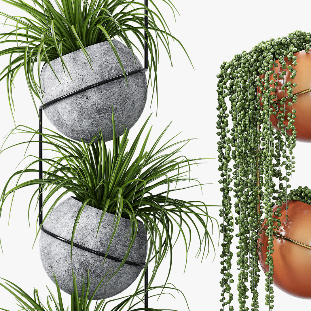 Flower studio 3D model - TurboSquid 1619417