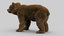 Bear ornatrix zbrush 3D model - TurboSquid 1620492