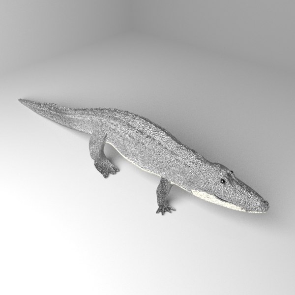Alligator gator 3D model - TurboSquid 1621247
