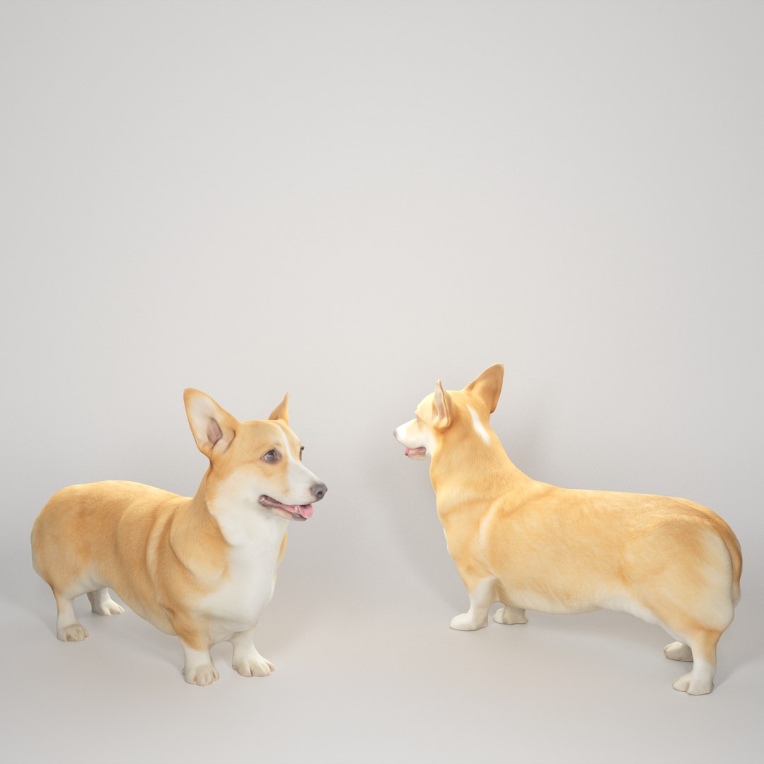 2020 corgi dog 3D model - TurboSquid 1621926