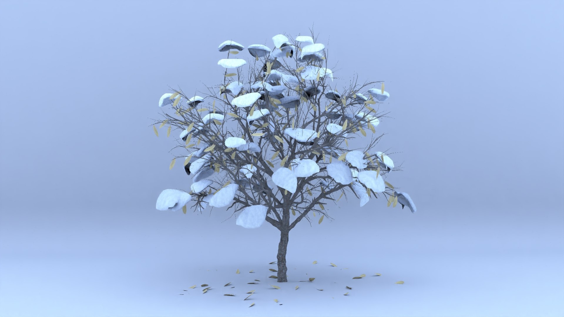 3D cherry laurel winter - TurboSquid 1622191