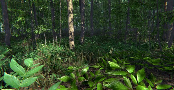 3D package trees forest environments model - TurboSquid 1622328