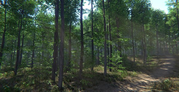 3D package trees forest environments model - TurboSquid 1622328