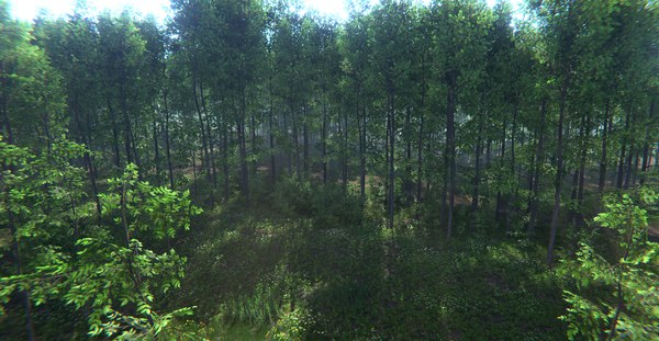 3D package trees forest environments model - TurboSquid 1622328