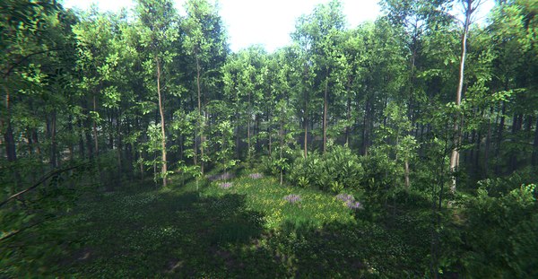 3D package trees forest environments model - TurboSquid 1622328