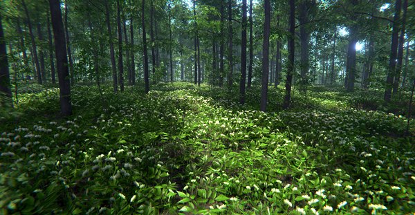 3D package trees forest environments model - TurboSquid 1622328