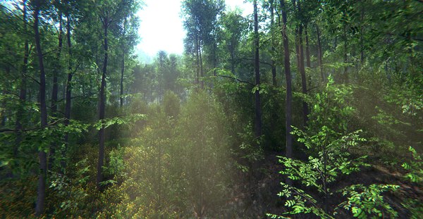 3D package trees forest environments model - TurboSquid 1622328