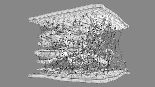 3D cytoskeleton cell - TurboSquid 1624164