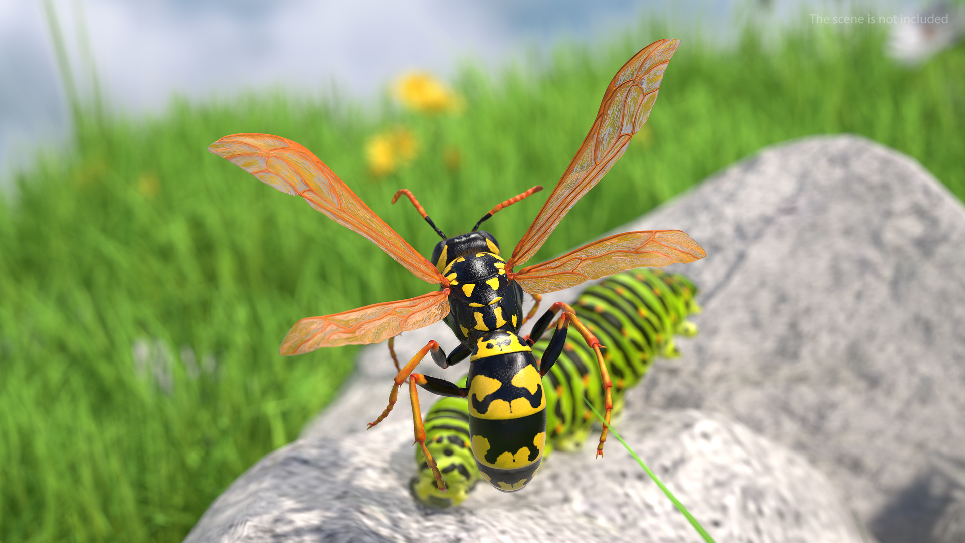3D wasp attack pose fur - TurboSquid 1625234