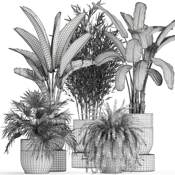 Plants interior black houseplants 3D model - TurboSquid 1625985