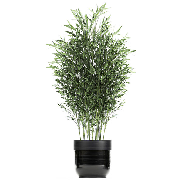 Plants interior black houseplants 3D model - TurboSquid 1625985