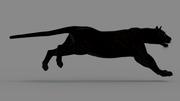 3d black panther animation