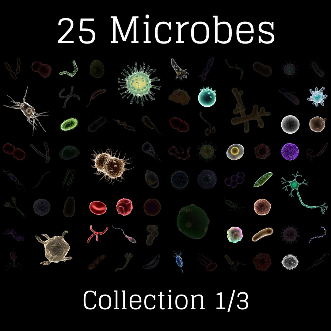 3D microbes micro bacteria cells model - TurboSquid 1626076