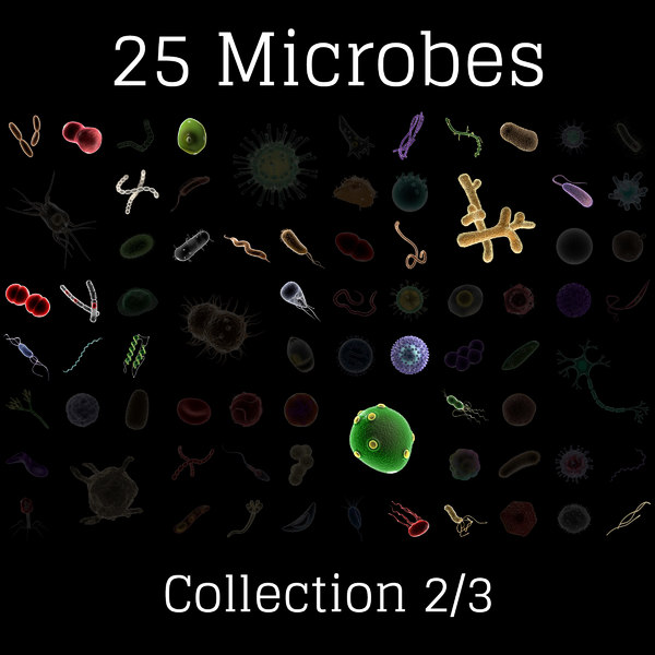 3D Bacteria Models | TurboSquid