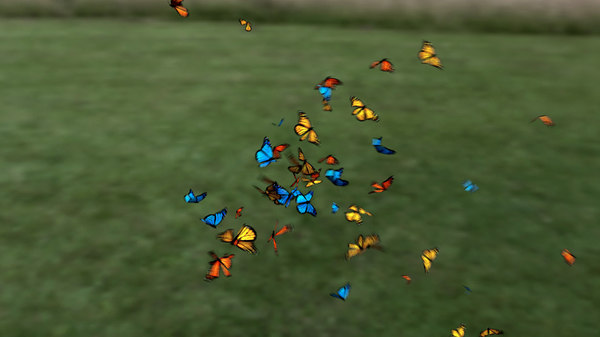 Animated Butterfly 3D Models for Download | TurboSquid