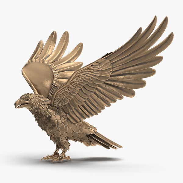 Free 3D Eagle Models | TurboSquid