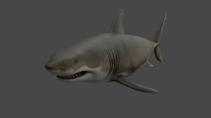 Shark Blender Models for Download | TurboSquid